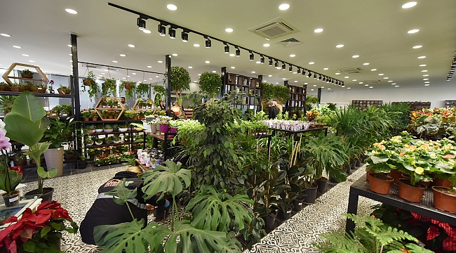 Ankara’da bitki evleri yaygınlaşıyor - TARIM - Ankara'nın Ekonomi Sitesi